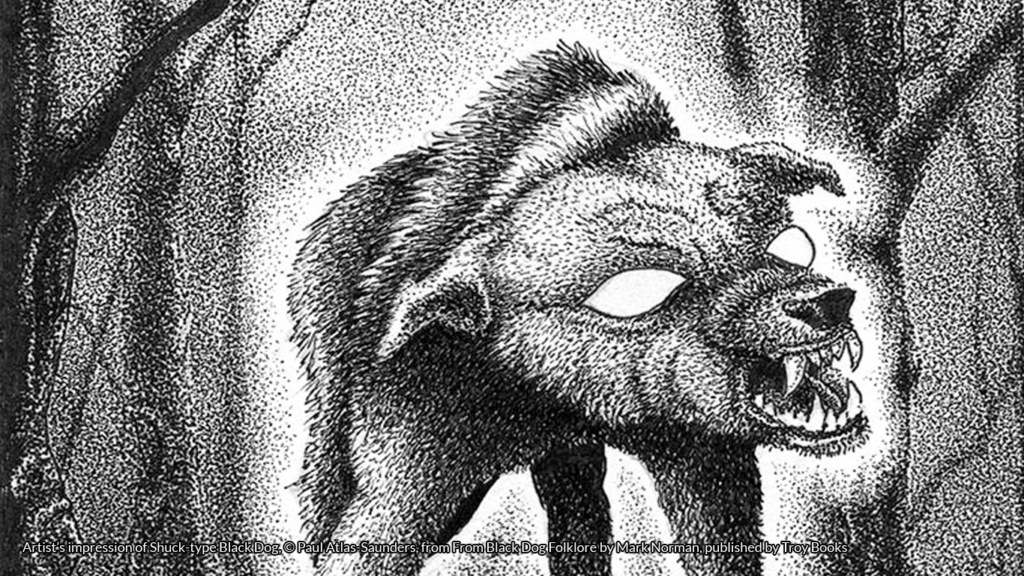 Black Shuck: Proof of Existence Finally Found? – #FolkloreThursday