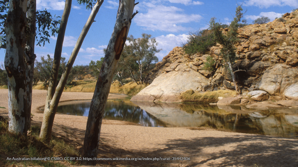 The Bunyip: Australia’s Mysterious Man-eating Swamp Beast – # ...