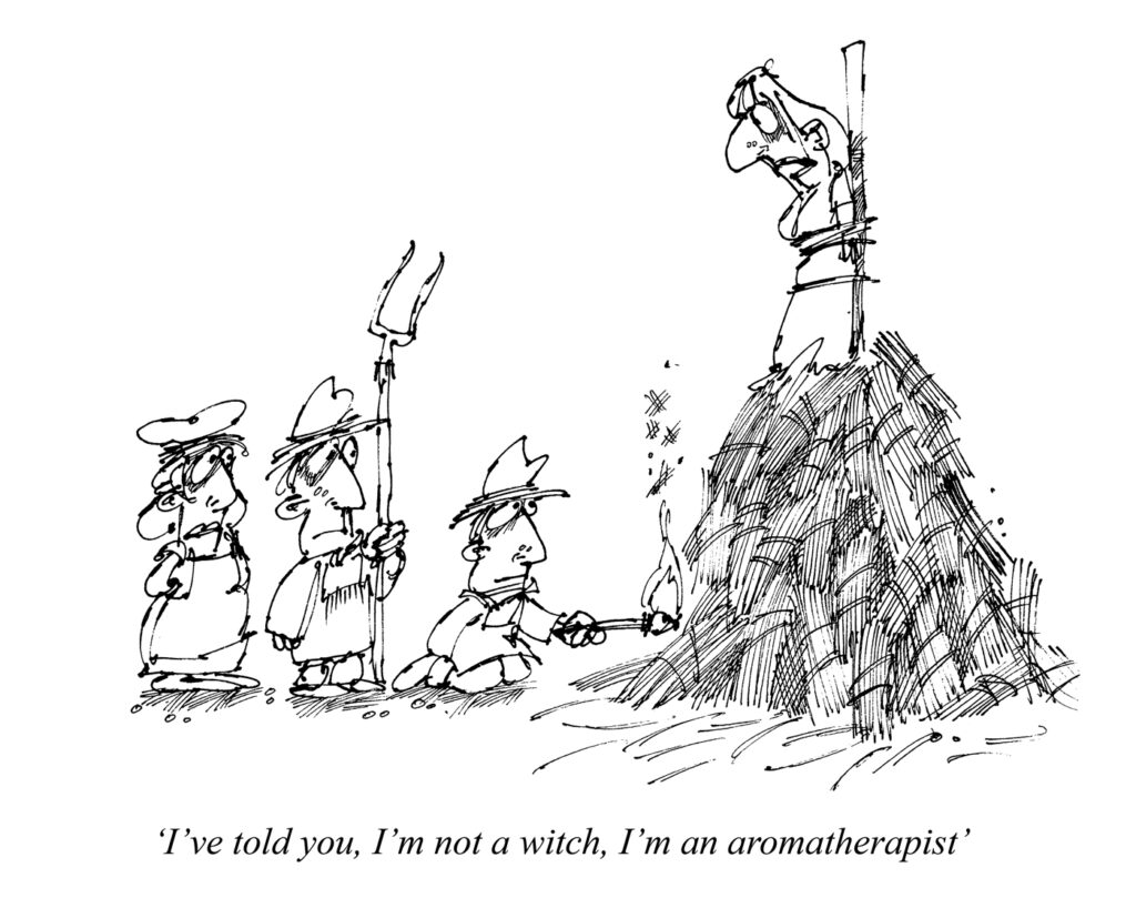 The Scottish Play and the Welsh Wizard: Witches in Punch Cartoons – # ...