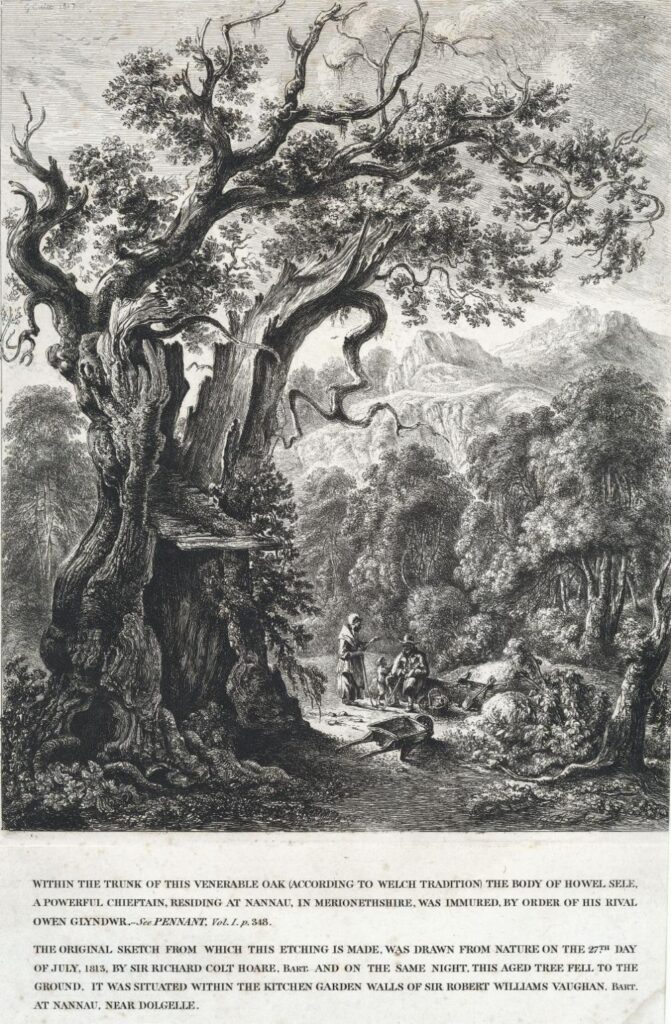 Folkore of Wales: The Skeleton Tree, Derwen Ceubren yr Ellyll – # ...