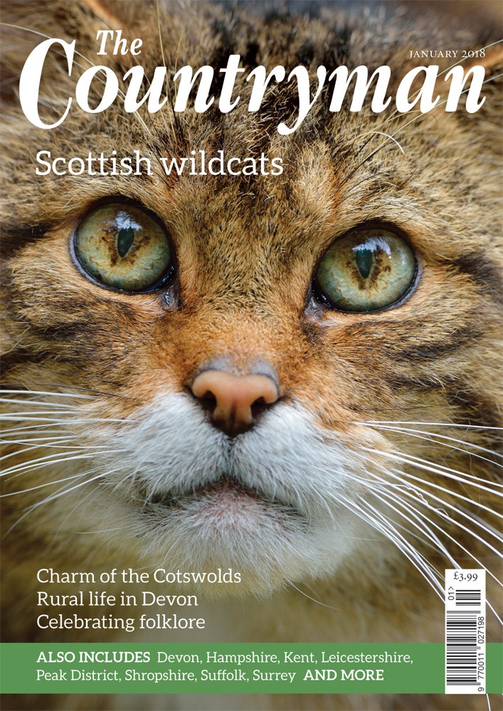 The Countryman Magazine: On Sanctuary, and a Medieval Boy Band… – # ...