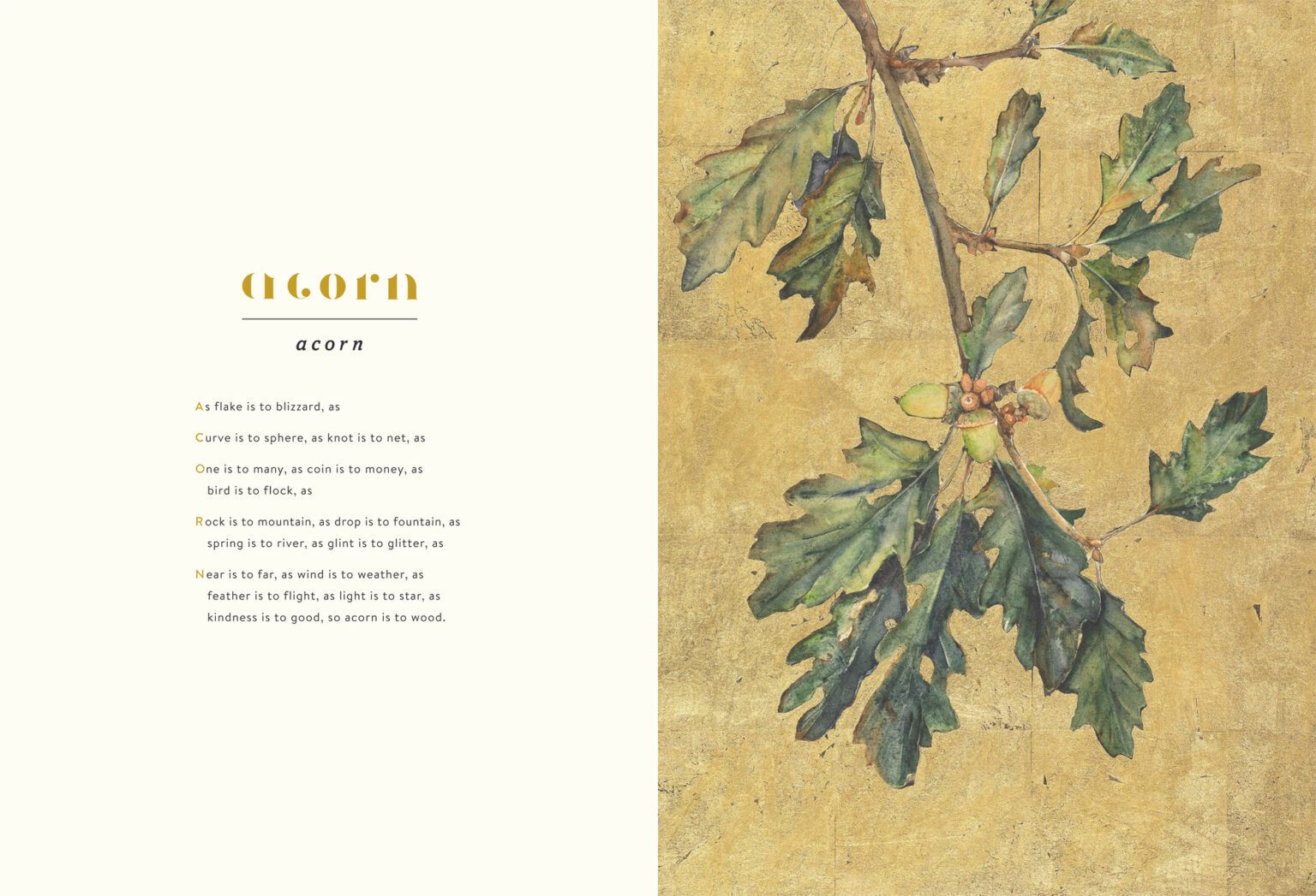 ‘The Lost Words’: In a Nutshell – #FolkloreThursday