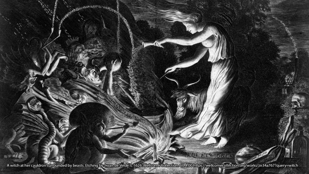 The Devil in the Room: Researching the History of Witchcraft in Ireland ...