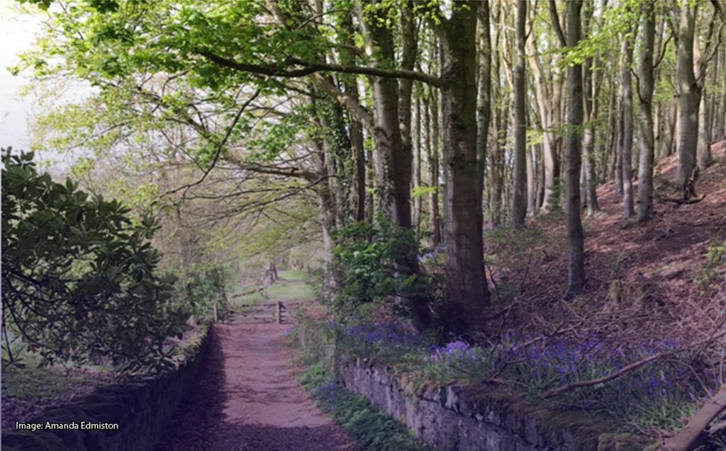 Flower Folklore: Spring Blooms and Bells of Blue – #FolkloreThursday
