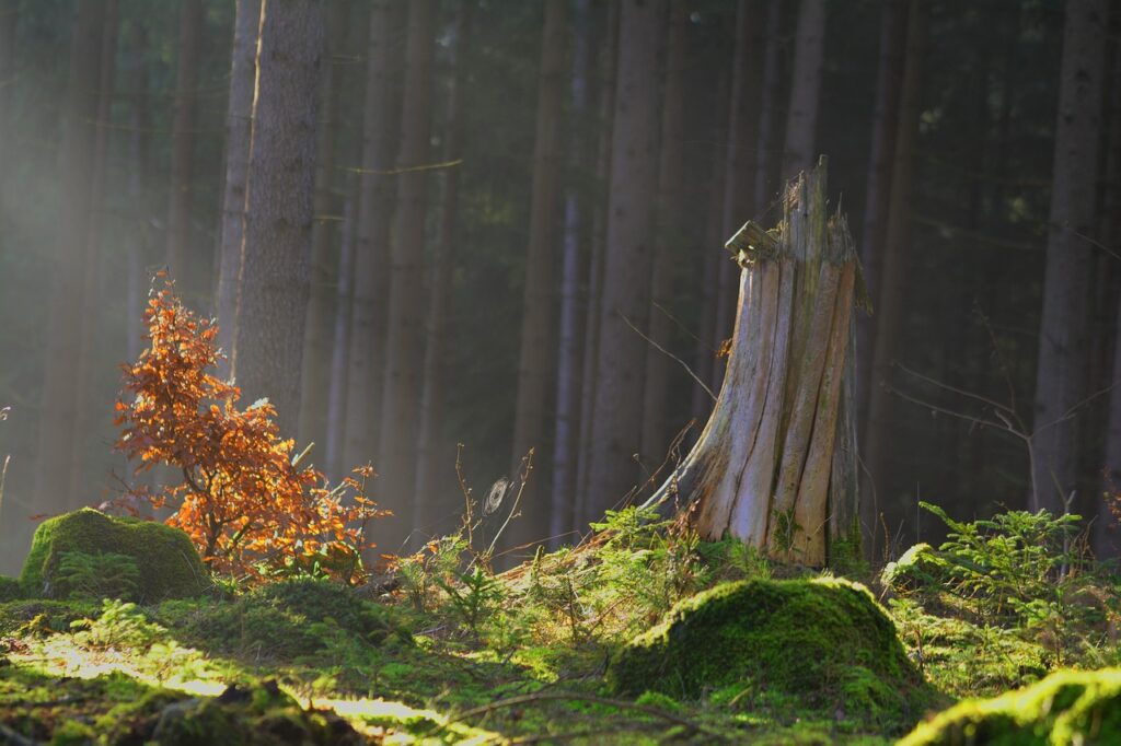 #FolkloreThursday – Putting the folk back into folklore since 2015!