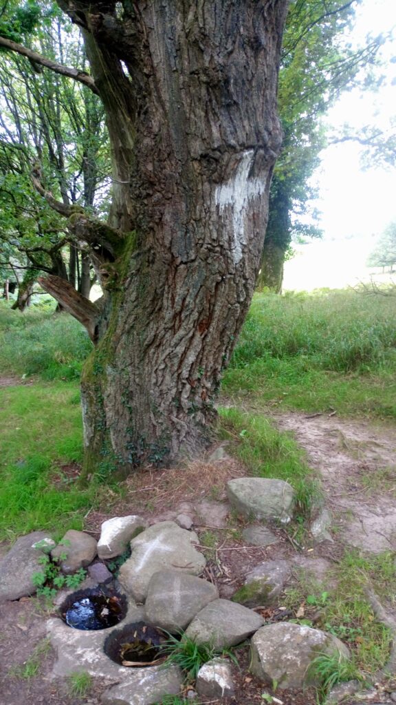 Rag Trees, Blessed Fish and Blind Horses: Some Traditions around Holy ...