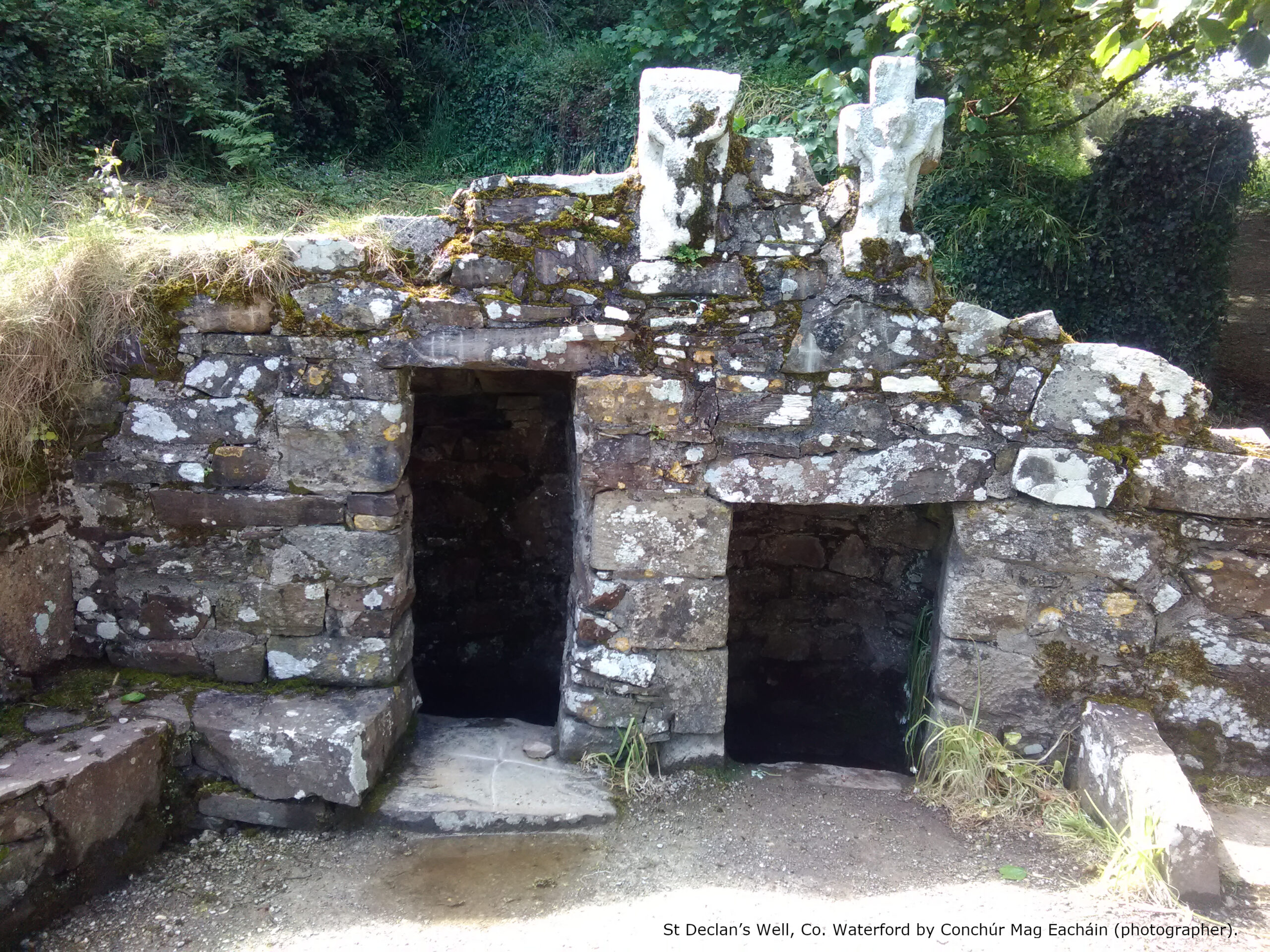 Rag Trees, Blessed Fish and Blind Horses: Some Traditions around Holy ...